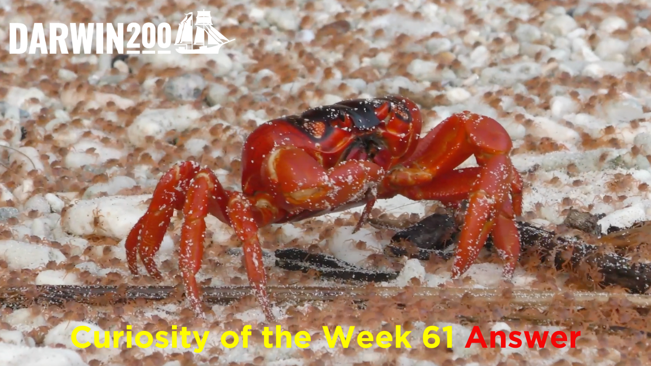 Week 61 - Answer - World's Most Exciting Classroom