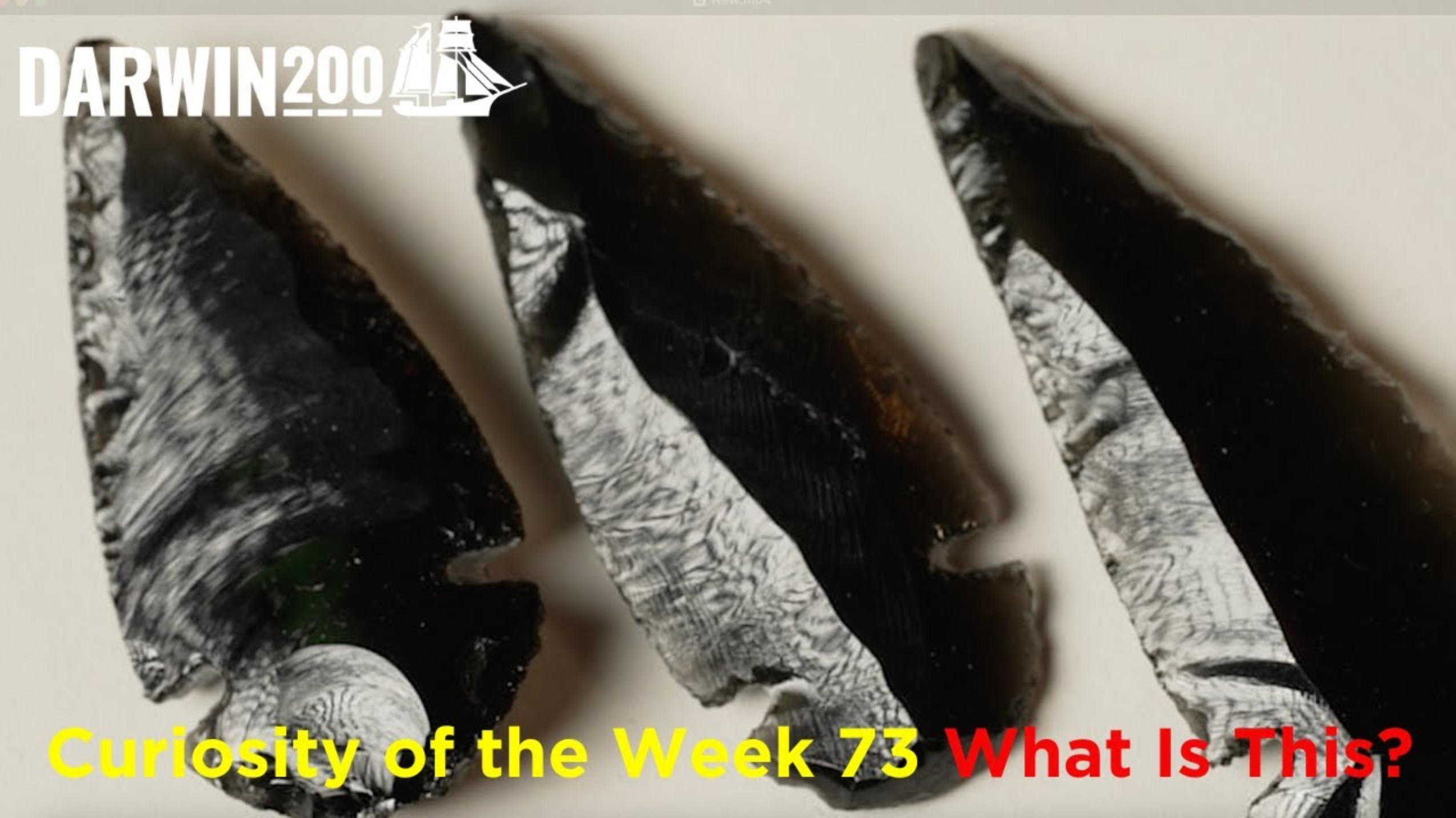 Week 73 - What is This? - World's Most Exciting Classroom